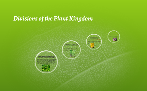 Divisions of the Plant Kingdom by angeline ma on Prezi