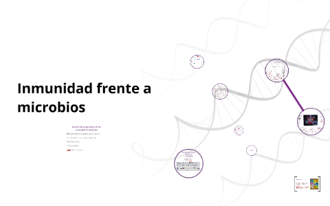 Inmunidad frente a microbios by Flor Apz on Prezi