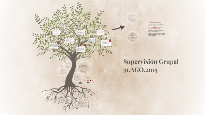 Supervisión Grupal by Daniel Avendaño on Prezi