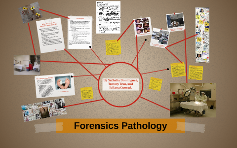 Forensics Pathology by on Prezi