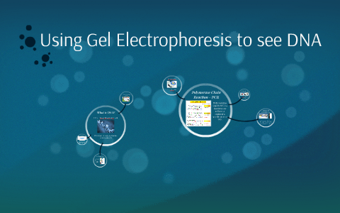 Using PCR to work with DNA by Alyssa Koehler on Prezi