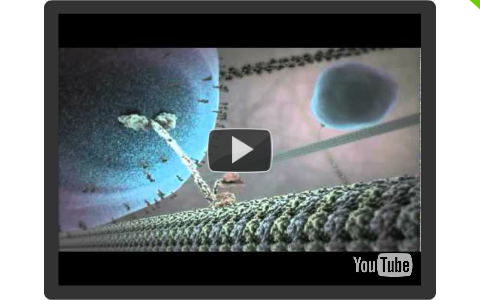 The inner life of the cell by Loïc TALIDE on Prezi