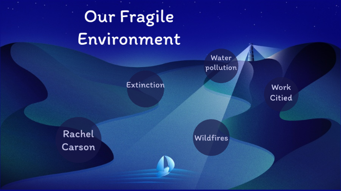 Our Fragile Environment by David Garabedian