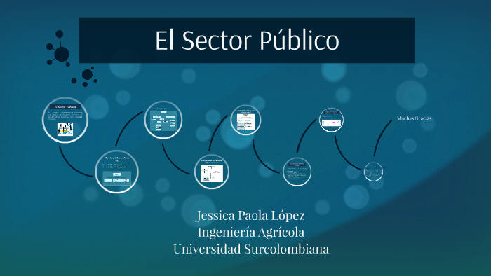 El Sector Publico by Paola Lopez