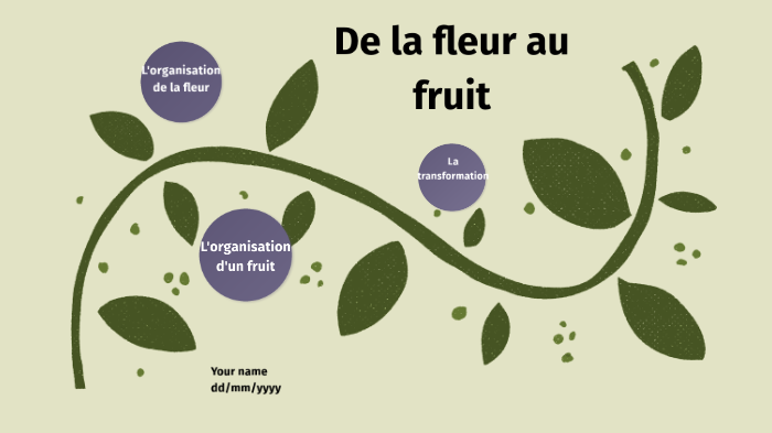 La transformation d'une fleur à un fruit by alex safi on Prezi