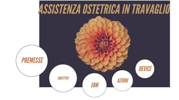 PDTA PAZIENTE OBESA by margherita antonelli on Prezi