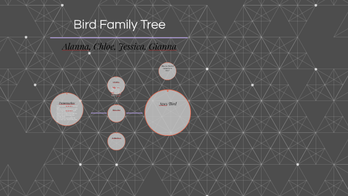 Bird Family Tree by Chloe Munoz on Prezi
