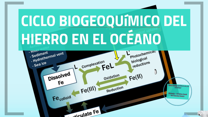 BIOGEOCHEMICAL CYCLE OF IRON IN THE OCEAN by Iva Kovačić on Prezi