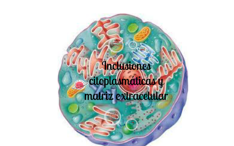 Inclusiones citoplasmáticas y matriz extracelular by María Victoria ...