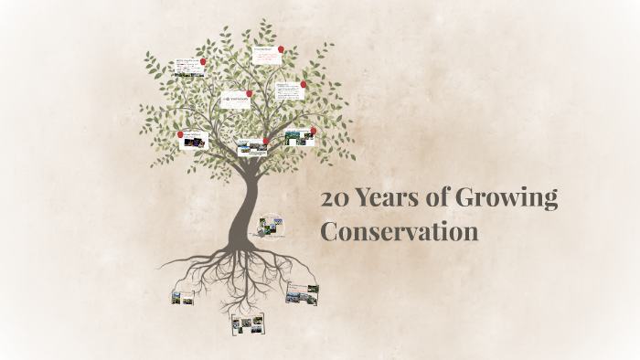 20 Years of Growing Conservation by Meta Loftsgaarden on Prezi