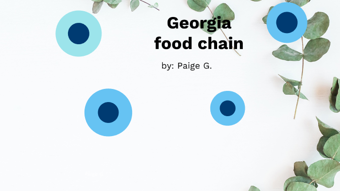 Georgia food web by Paige Grzybowski on Prezi