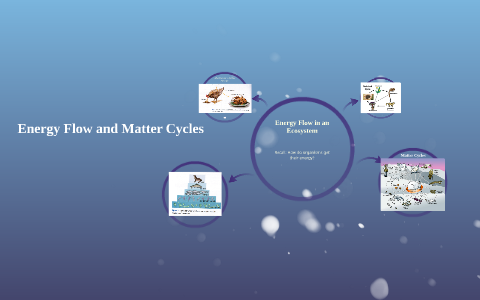 Energy Flow and Matter Cycles by Samantha Keller on Prezi