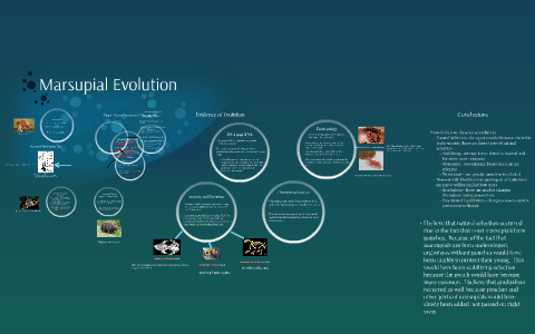 Marsupial Evolution by Brian Torpey on Prezi