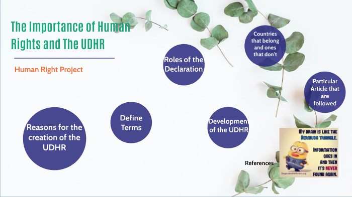 Human Rights Project by Itoro Nnah on Prezi