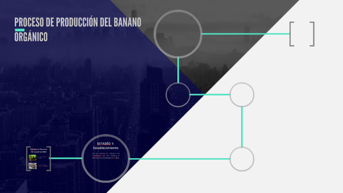 Proceso de producción del banano by Juan Diego Benavides on Prezi