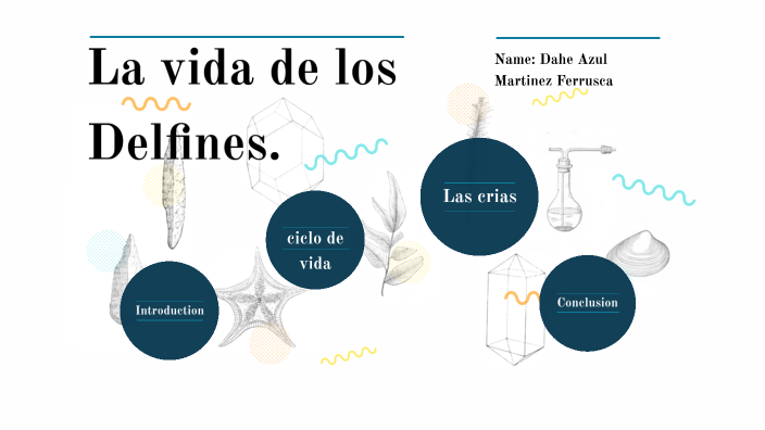 La vida de los Delfines by Dhae Azul Martínez Ferrusca on Prezi