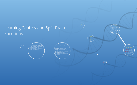 Split Brain Functions by Mallory Rose on Prezi