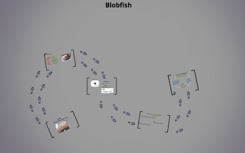 Blobfish by on Prezi