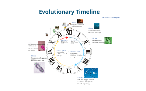 Evolutionary Clock by Abhi V on Prezi