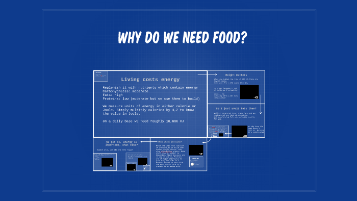 Why do we need food? by Michaël Metzemakers on Prezi