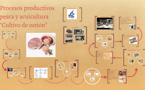 Procesos productivos pesca y acuicultura by Camila Torres on Prezi