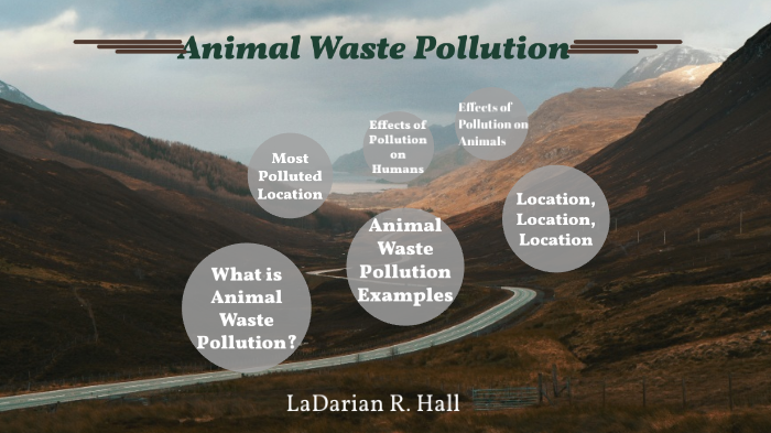 Animal Waste Pollution by LaDarian Hall on Prezi