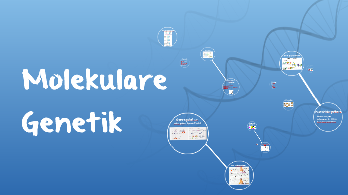 Molekulare Genetik by Jana Huss on Prezi