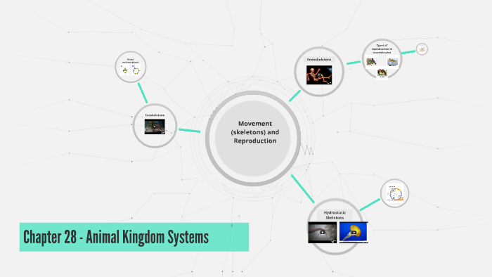 Ch. 28 - skeletons and reproduction by Jamie Michalek on Prezi