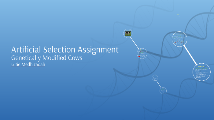 Artificial Selection Assignment by Gitie Medhizadah on Prezi