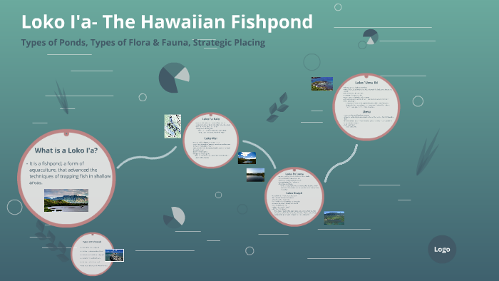 Loko I'a- The Hawaiian Fishpond by Jerina Dement on Prezi