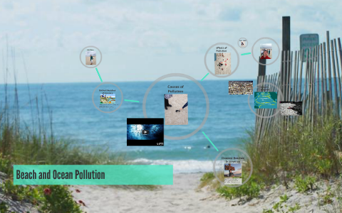 Beach and Ocean Pollution: Causes, Effects, Solutions by Nathan ...