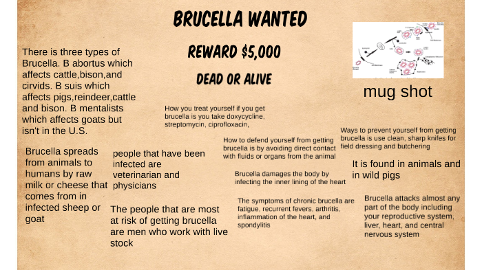 Bacteria Wanted Poster by Tayven Wilson on Prezi