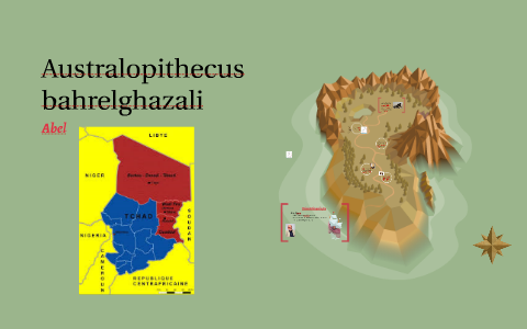 Australopithecus bahrelghazali by Deborah Morrison on Prezi