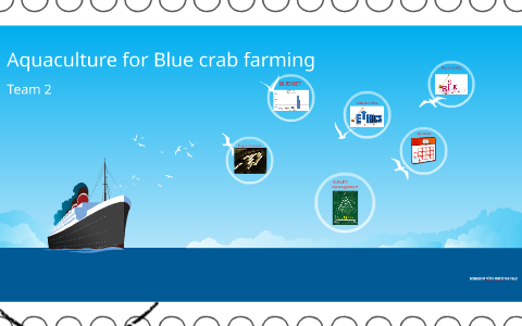 Aquaculture for Blue crab farming by burak o on Prezi