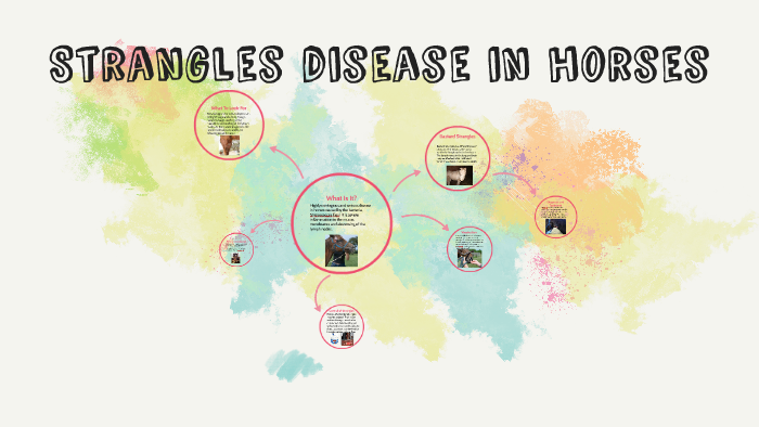 Strangles disease in horses by Abbie Lucas