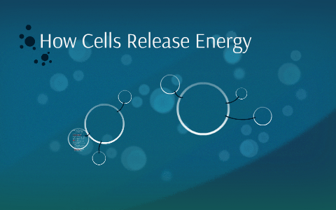How Cells Release Energy by Rania Salem