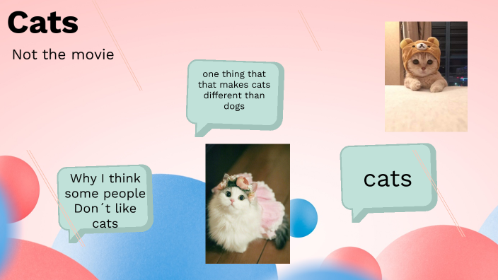 cats by Yazmin Moreira on Prezi