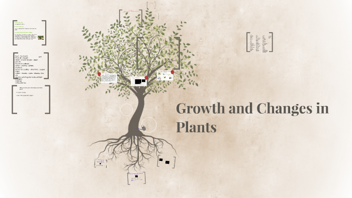 Growth and Changes in Plants by marianne mulhall on Prezi