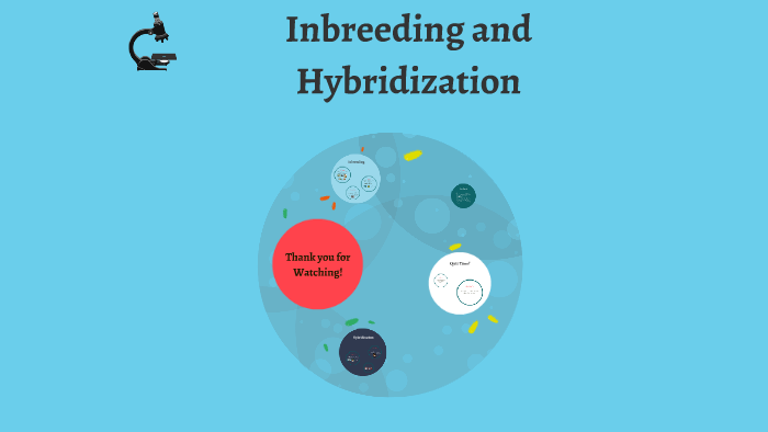 Inbreeding and Hybridization by Lily Ross on Prezi