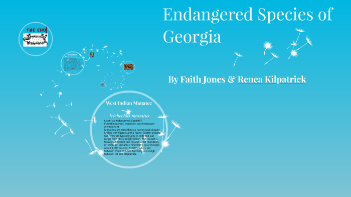 Endangered Species of Georgia by Faith Jones on Prezi