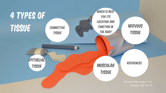 4 Types of Tissue Project by Richard Mercado on Prezi