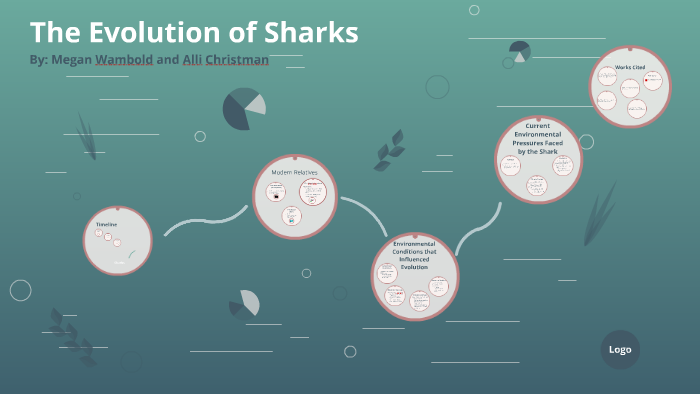 The Evolution of sharks by Megan Wambold on Prezi