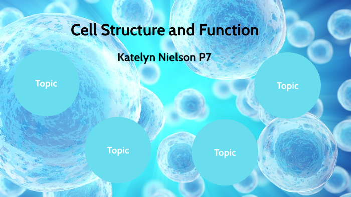 Cell Structure and Function by Katelyn Nielson on Prezi