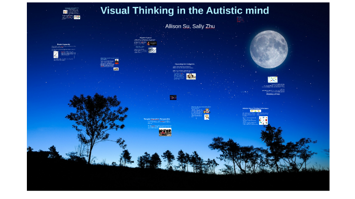 Visual Thinking in the Autistic mind by Sally Zhu on Prezi