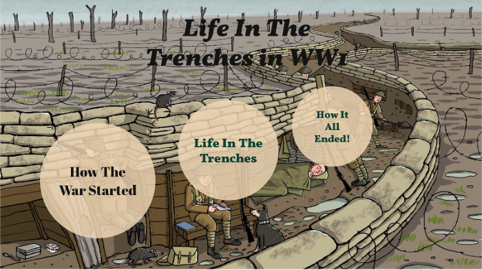 Life In The Trenches in WW1 by Joseph Goodwin on Prezi
