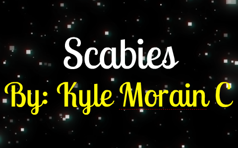 Scabies by Kyle Morain on Prezi