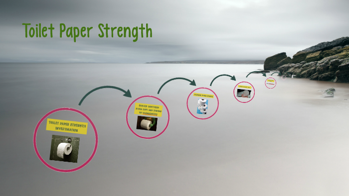Toilet Paper Strength by Keanu Martinez on Prezi