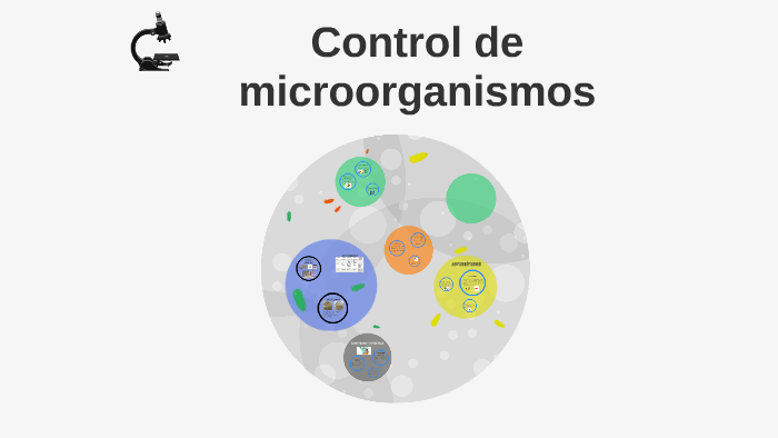 Control de microorganismos by Daniela Acevedo on Prezi