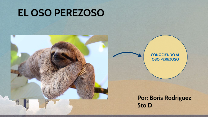 Oso perezoso by boris rodriguez on Prezi