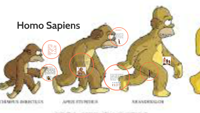 Homosapiens by rayi abumariam on Prezi